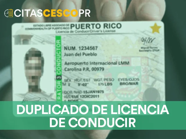 CESCO Duplicado de licencia de conducir 【2026】Requisitos, solicitudes ...