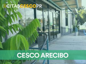 CESCO Arecibo 【2024】Teléfono, horarios, citas y trámites