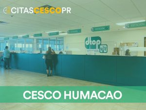 CESCO Humacao 【2025】Teléfono, horarios, citas y trámites