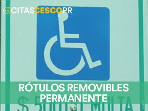 CESCO Carnet Impedido 【2023】Requisitos, solicitudes, formularios y citas